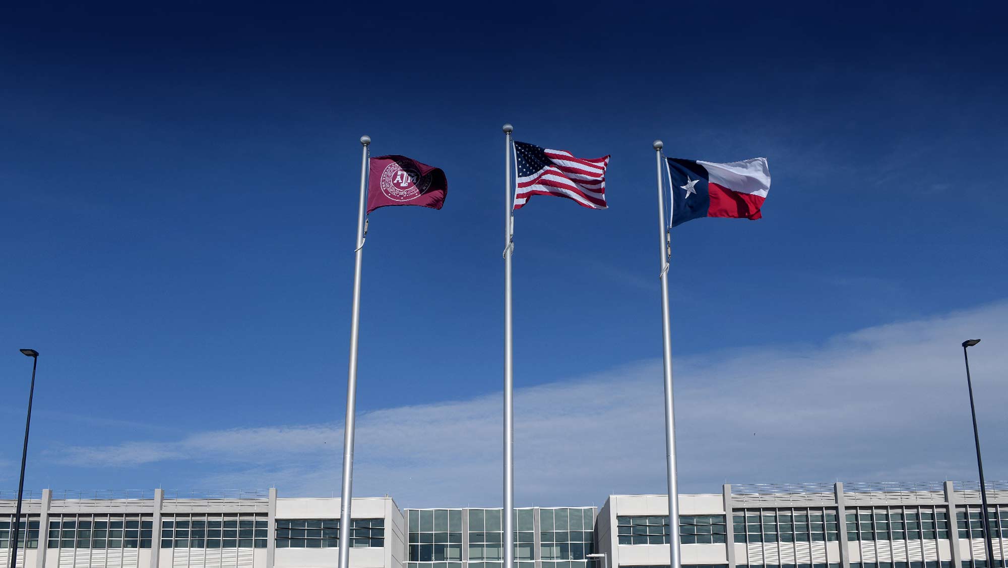 Women in Science and Engineering Diversity, Equity, Inclusion and ...